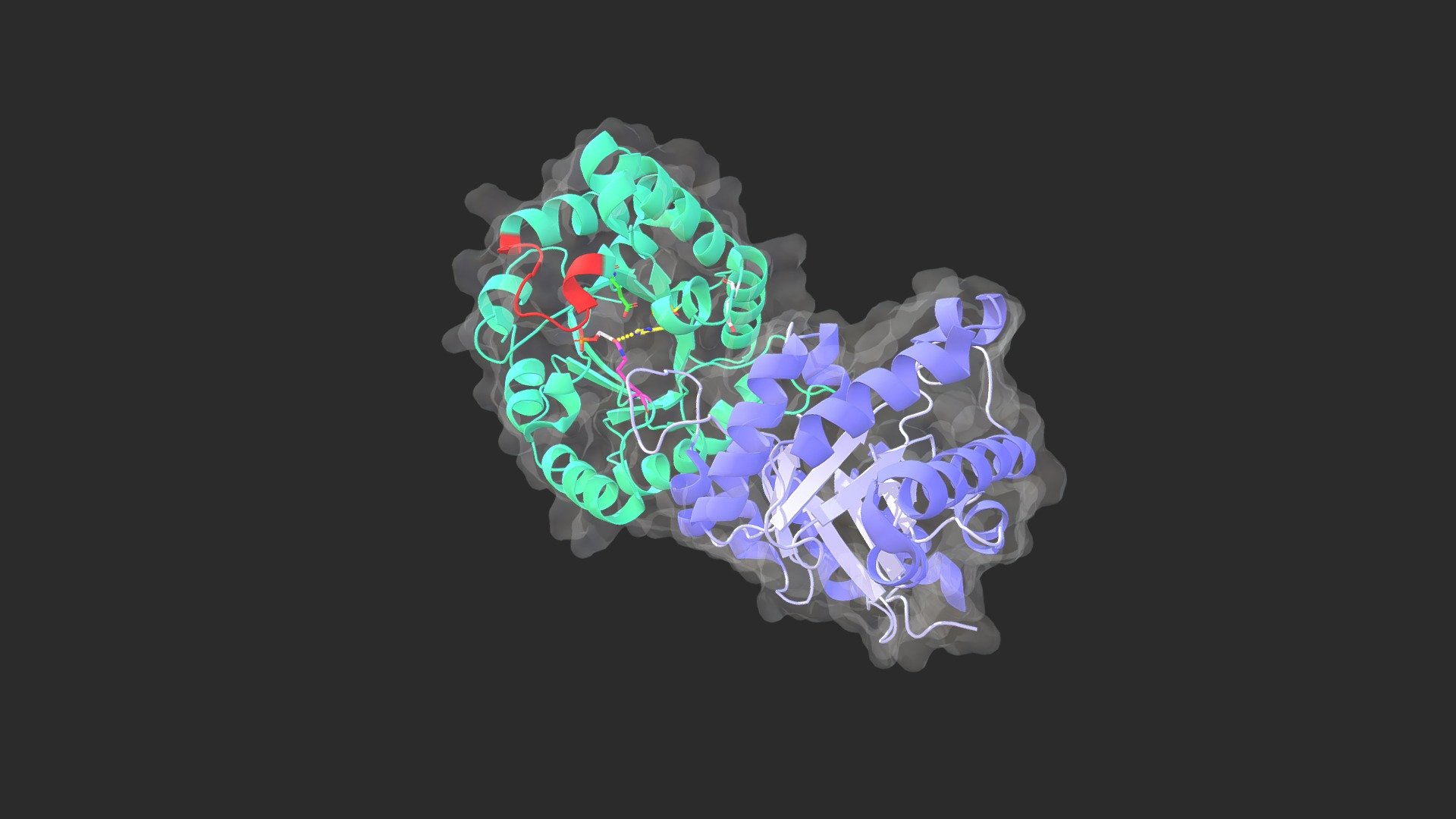 Human Triosephosphate Isomerase Molecular Model - 3D model by ecng4587 ...