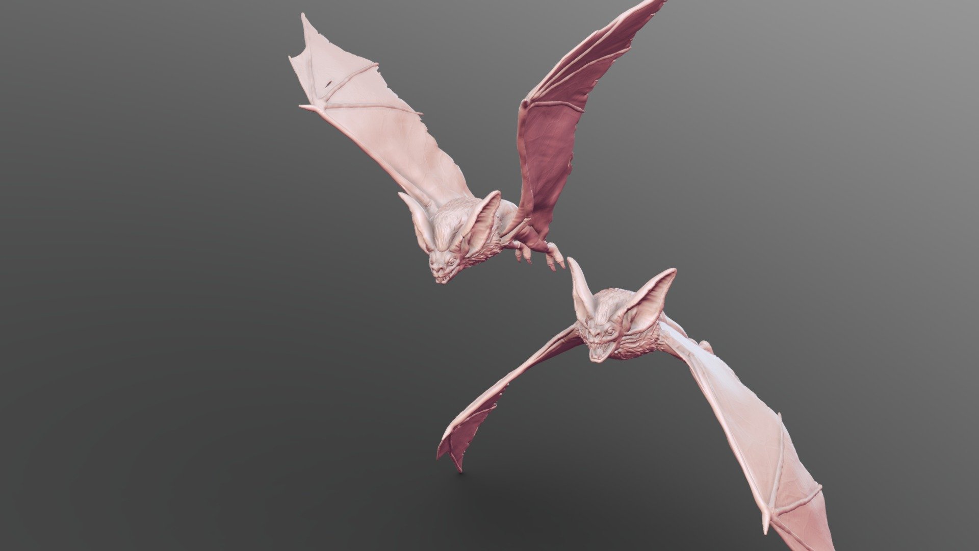 Bats - 3D model by commodorre [7e187f5] - Sketchfab