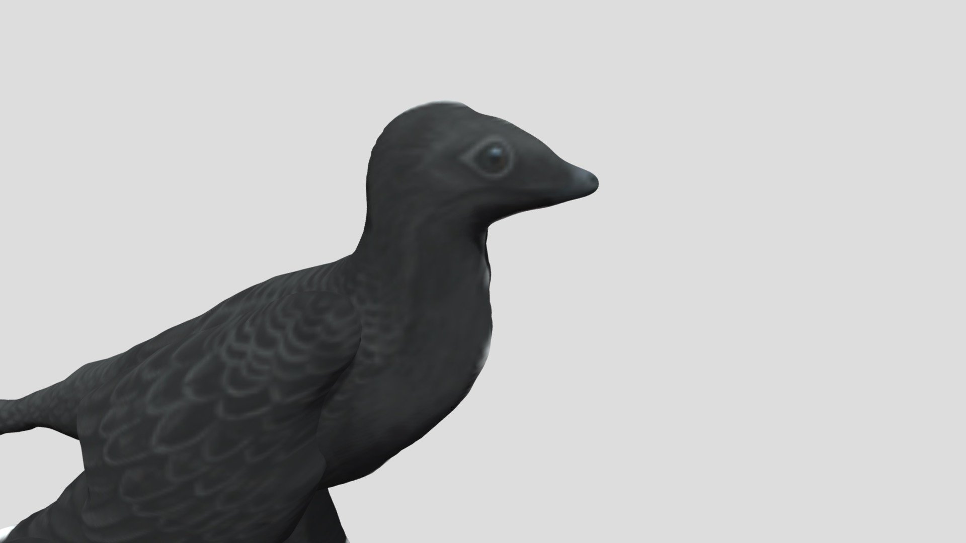 Microraptor - Download Free 3D model by Animal Maker (@ShinGoji729 ...