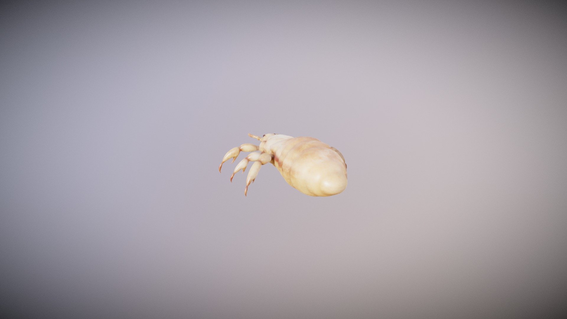 Microbes - Head Lice - 3D model by Vida Systems (@objects1) [7e21c81 ...