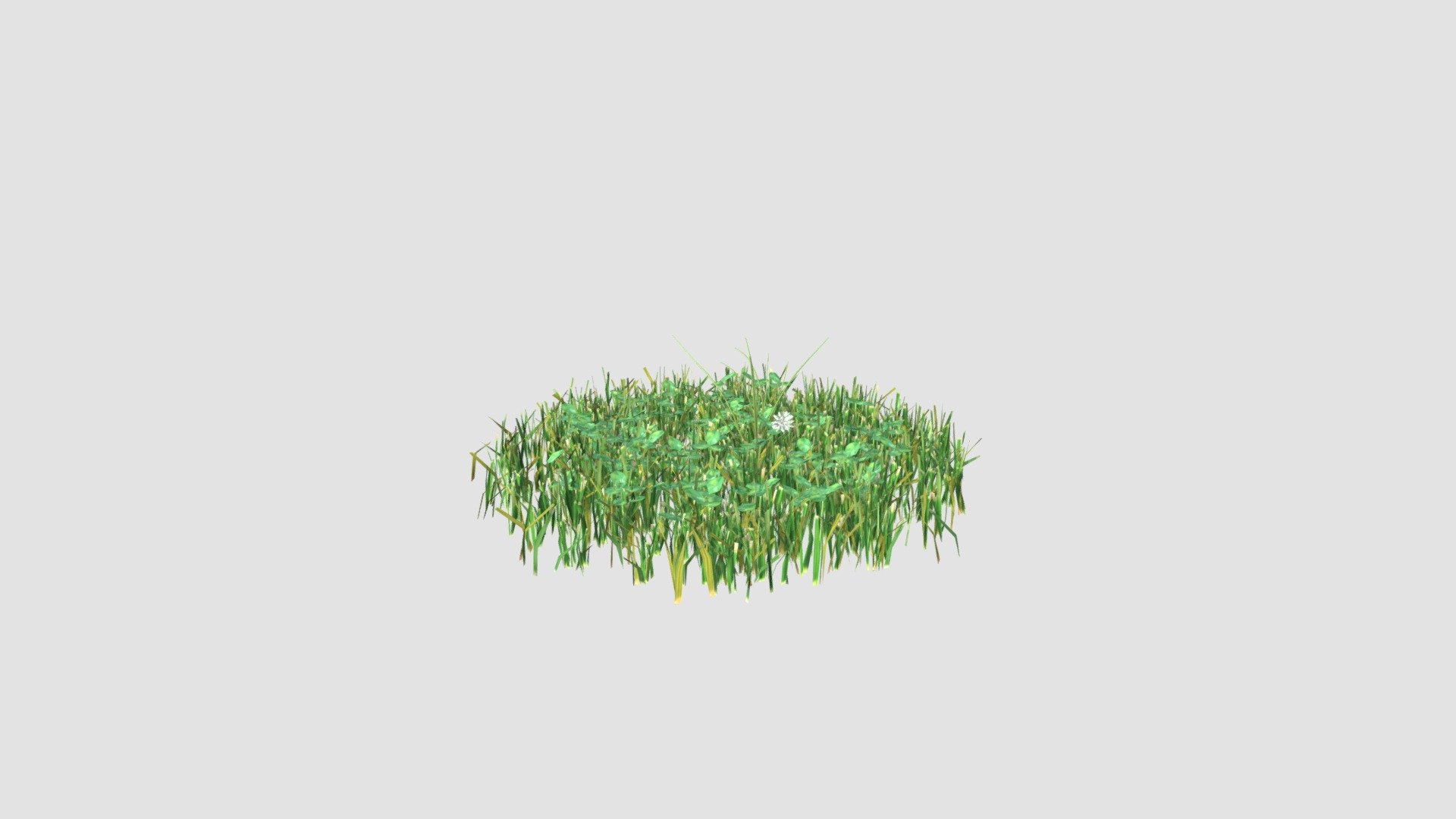simple grass medium - Buy Royalty Free 3D model by Evermotion [7e2838c ...