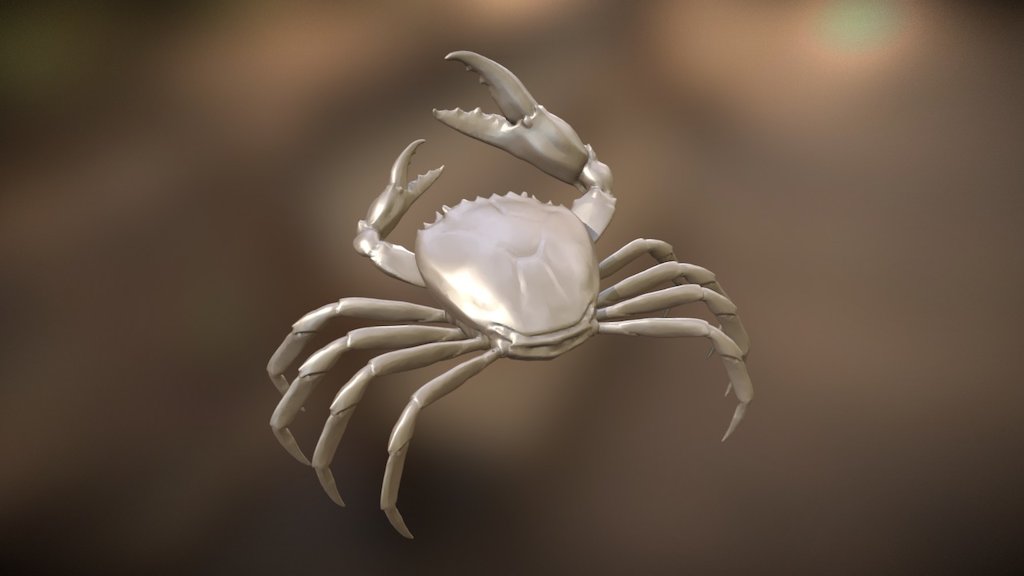 Crab - Download Free 3D model by booni4dee [7e28c89] - Sketchfab