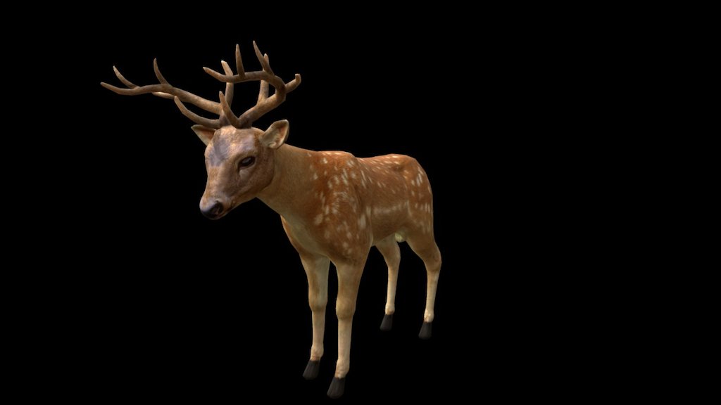 Deer Stag - 3D model by RedDeer (@billl90) [7e2c223] - Sketchfab