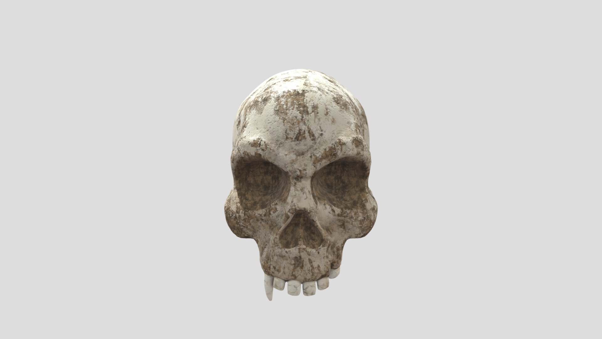 ACG_Skull - 3D model by jcolon (@jcjcolonjus06) [7e2cba0] - Sketchfab