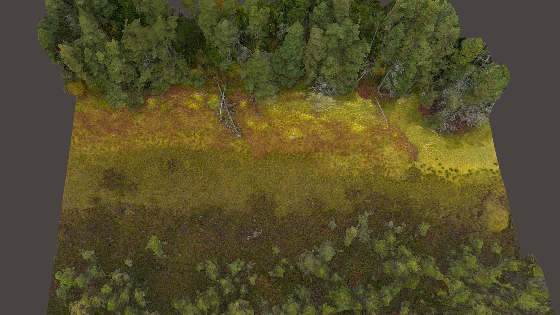 Autumn in the swamp. Landscape - Buy Royalty Free 3D model by Saulius ...