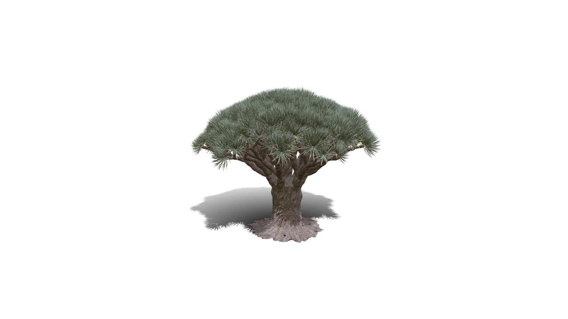 Realistic HD Dragon tree (40/50) - Download Free 3D model by ...