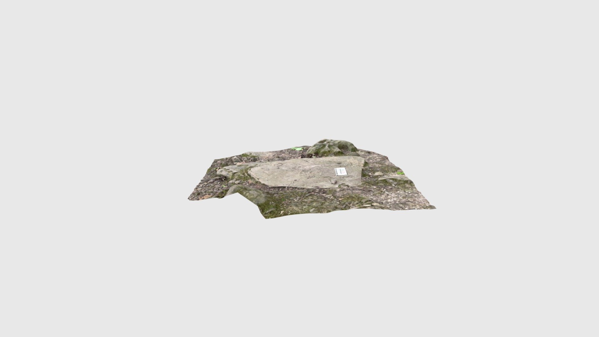 Rockway Trace Fossils Rock - Download Free 3D model by MacGlacialSeds ...