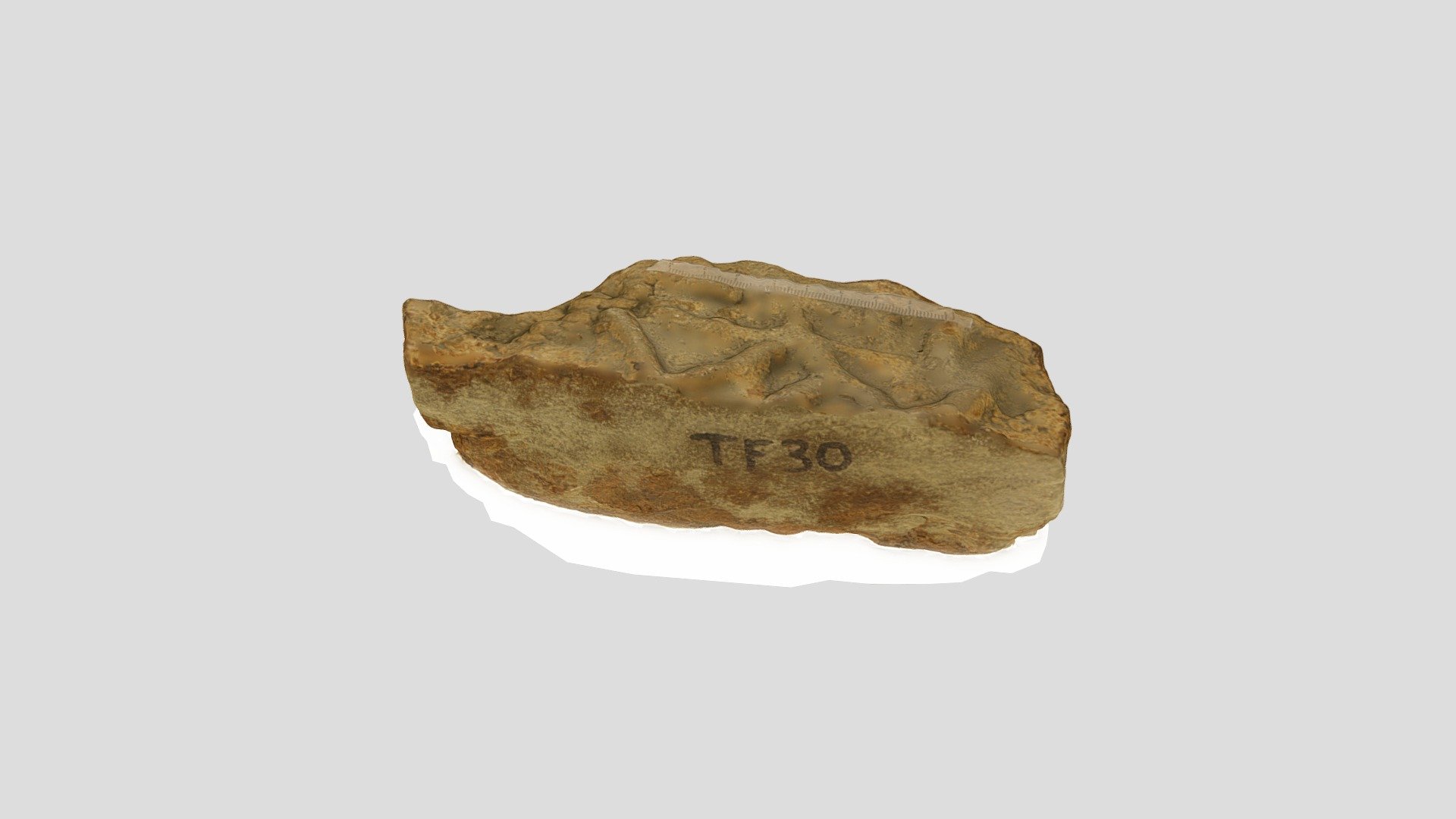Sample TF30 - Download Free 3D model by siloa [7e4150a] - Sketchfab
