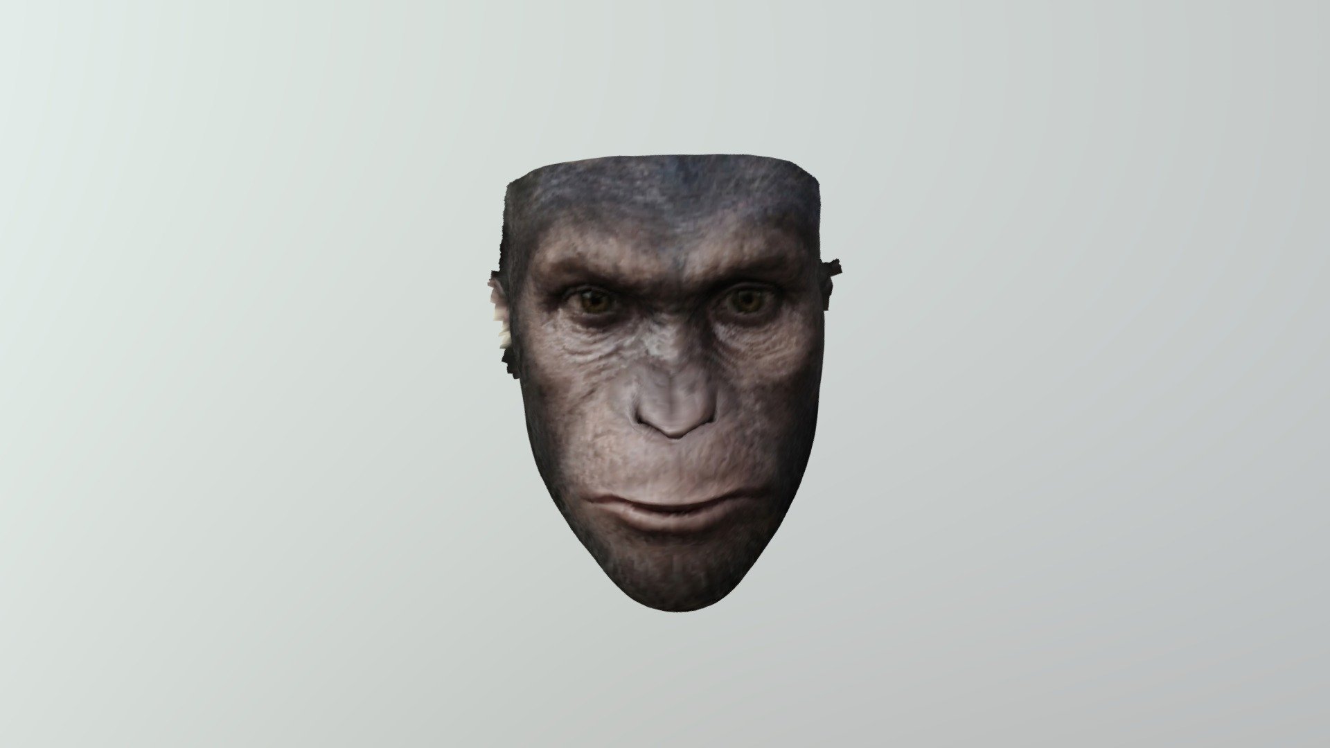 Caesar - 3D model by lukeyu [7e44b1a] - Sketchfab