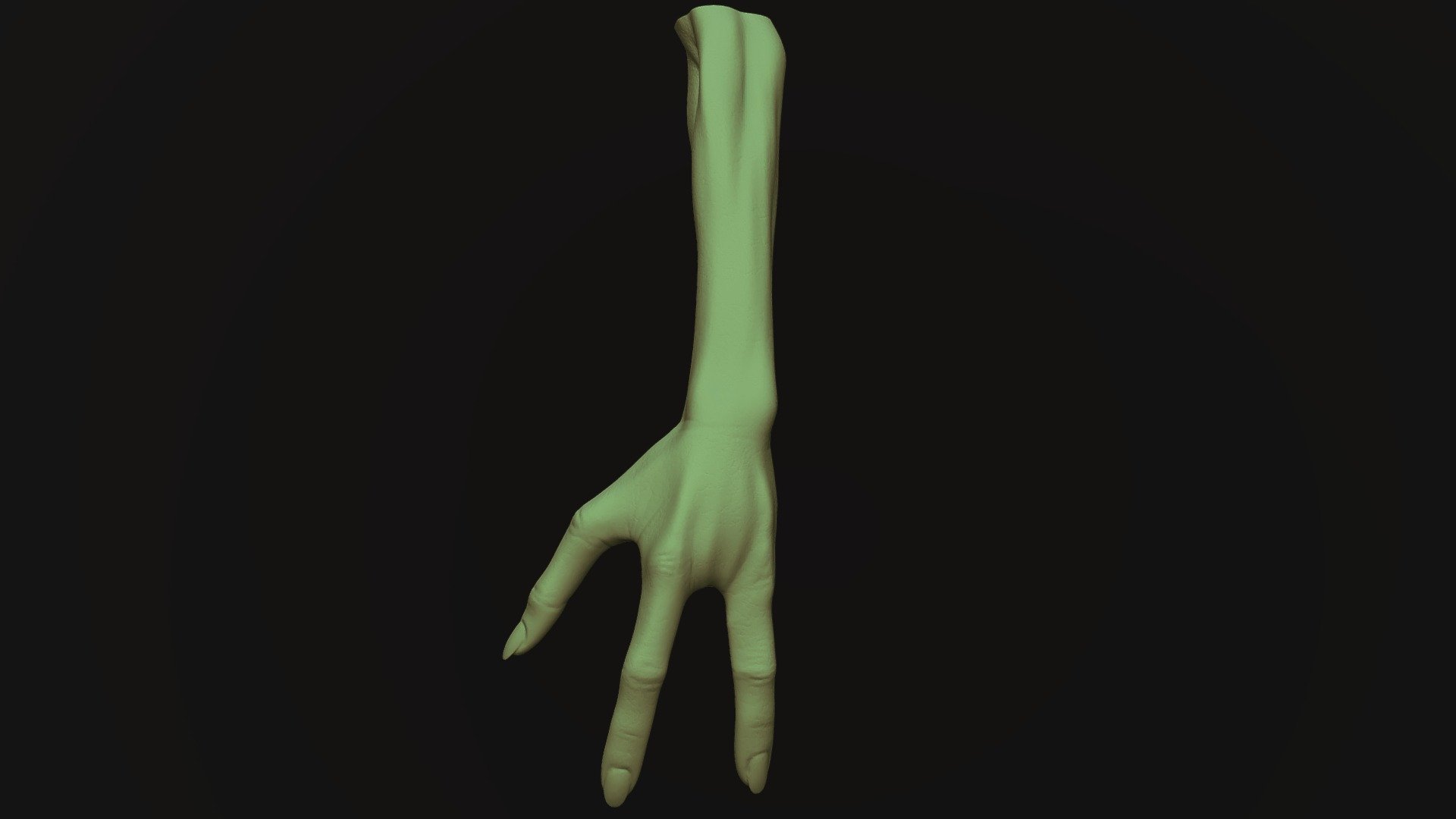 Humanoid Hand 13 - Buy Royalty Free 3D model by Rumpelstiltskin ...