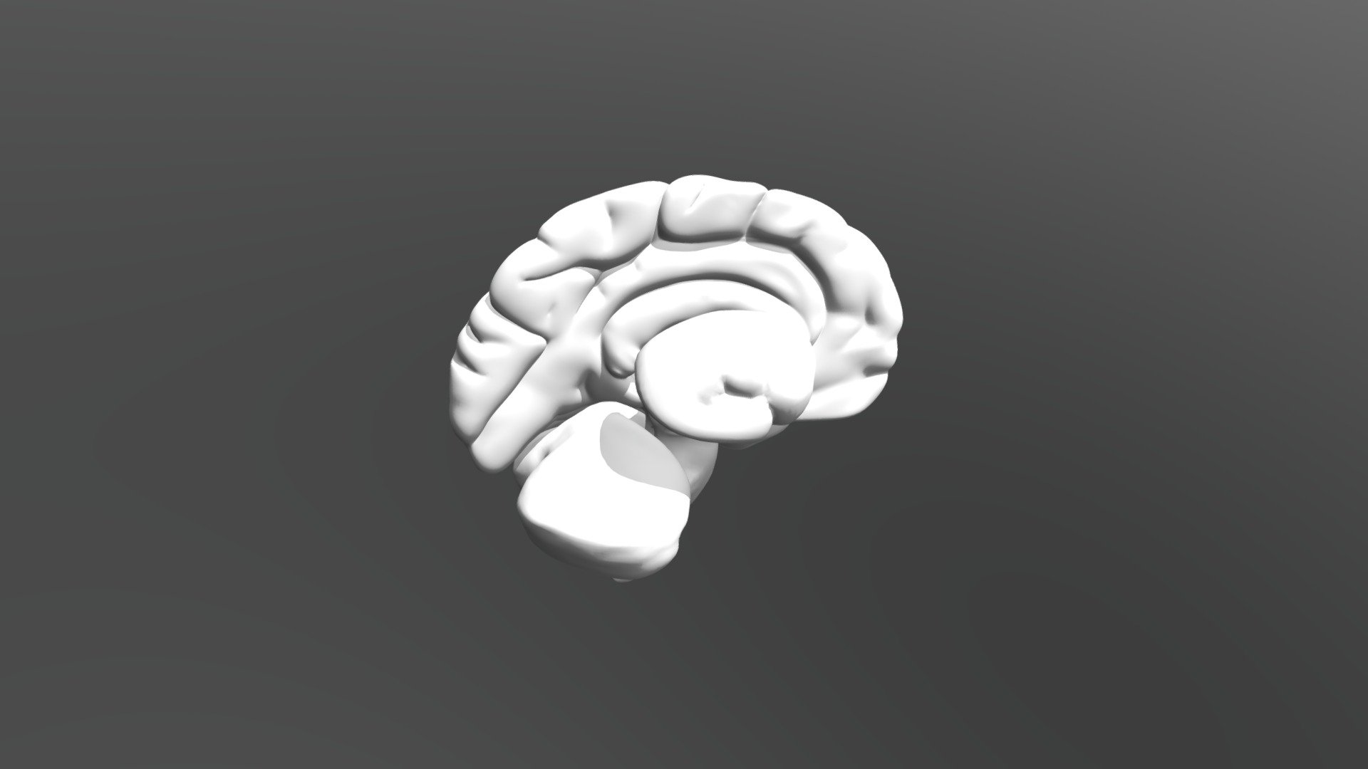Human Brain - 3D model by MedicalArt [7e4866f] - Sketchfab