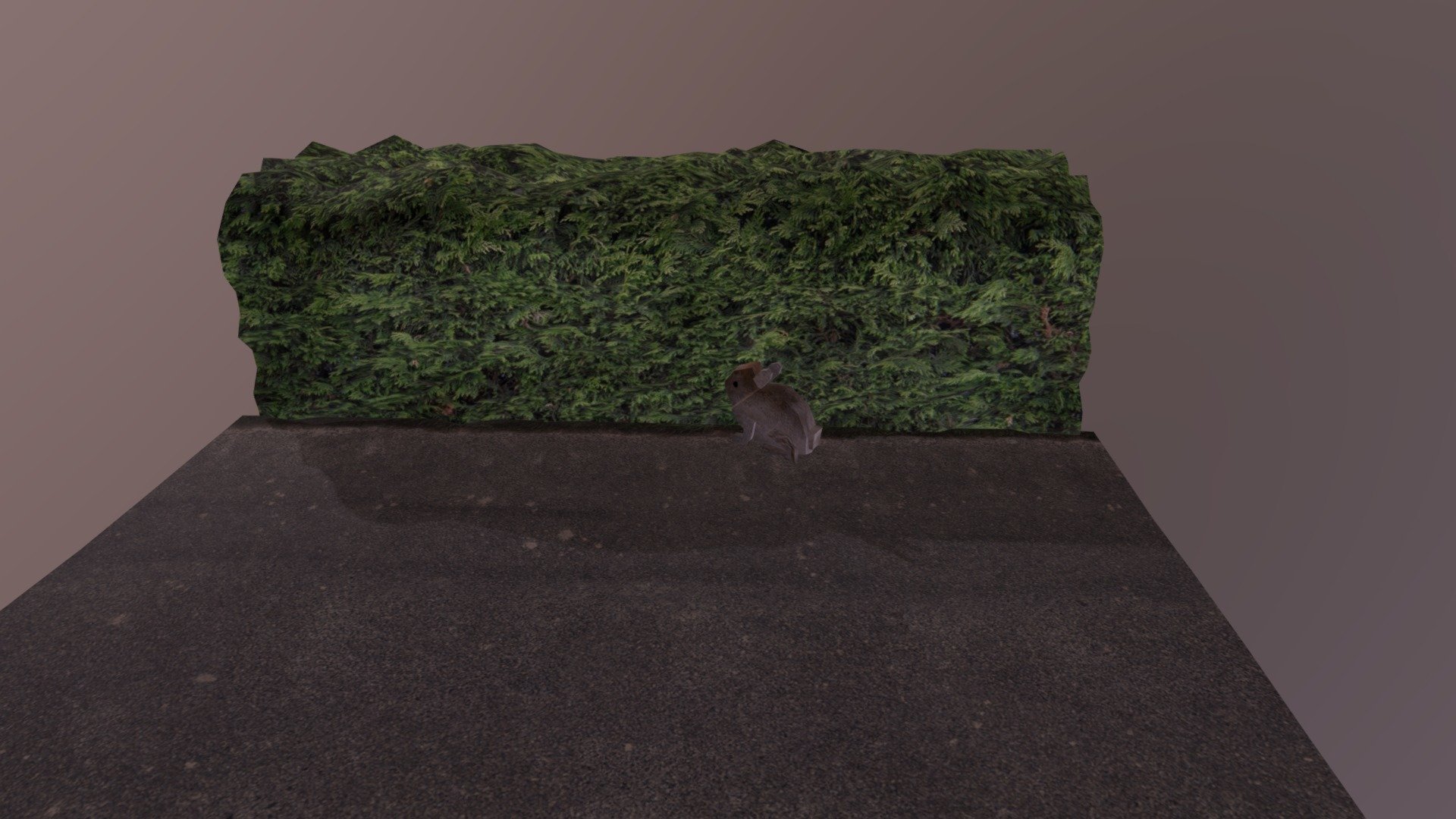 rabbit test - 3D model by wireframe (@elliottebbs) [7e4bc79] - Sketchfab