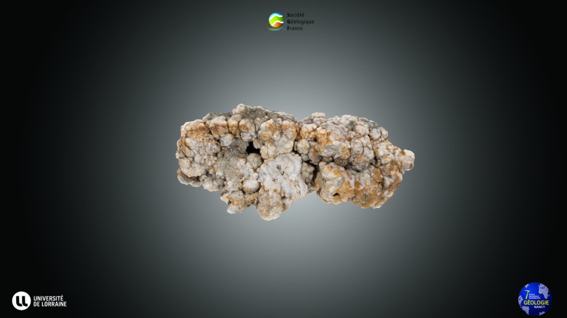 Roche - Nodules de sulfate épigénisés en silice - Download Free 3D ...