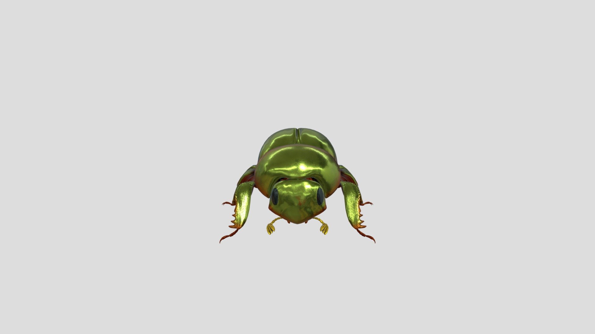 Scarabe ceratocanthus-aeneus - Buy Royalty Free 3D model by Phil3D ...