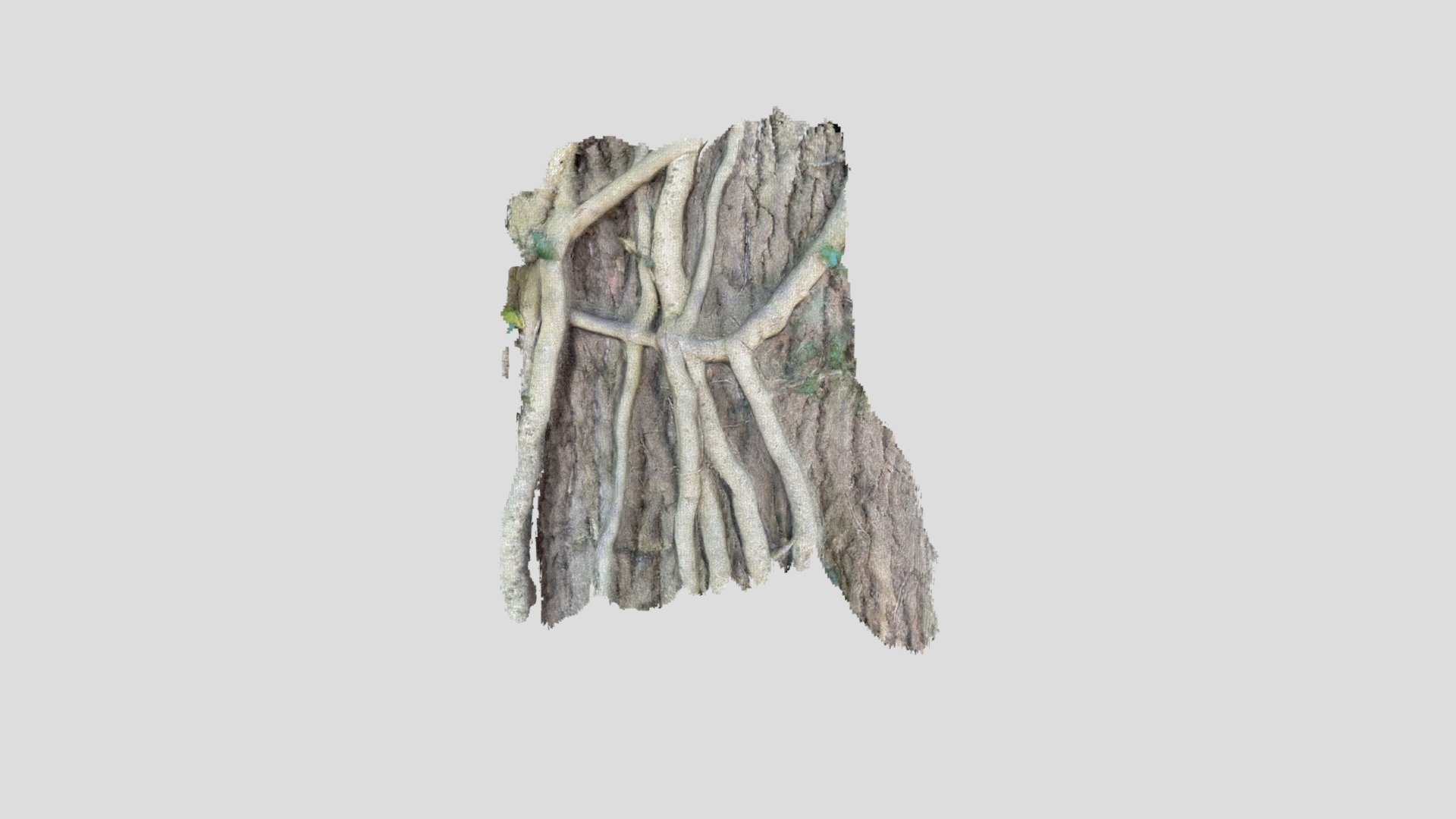 Tree with creeper - Download Free 3D model by spatial101x [7e5abfe ...