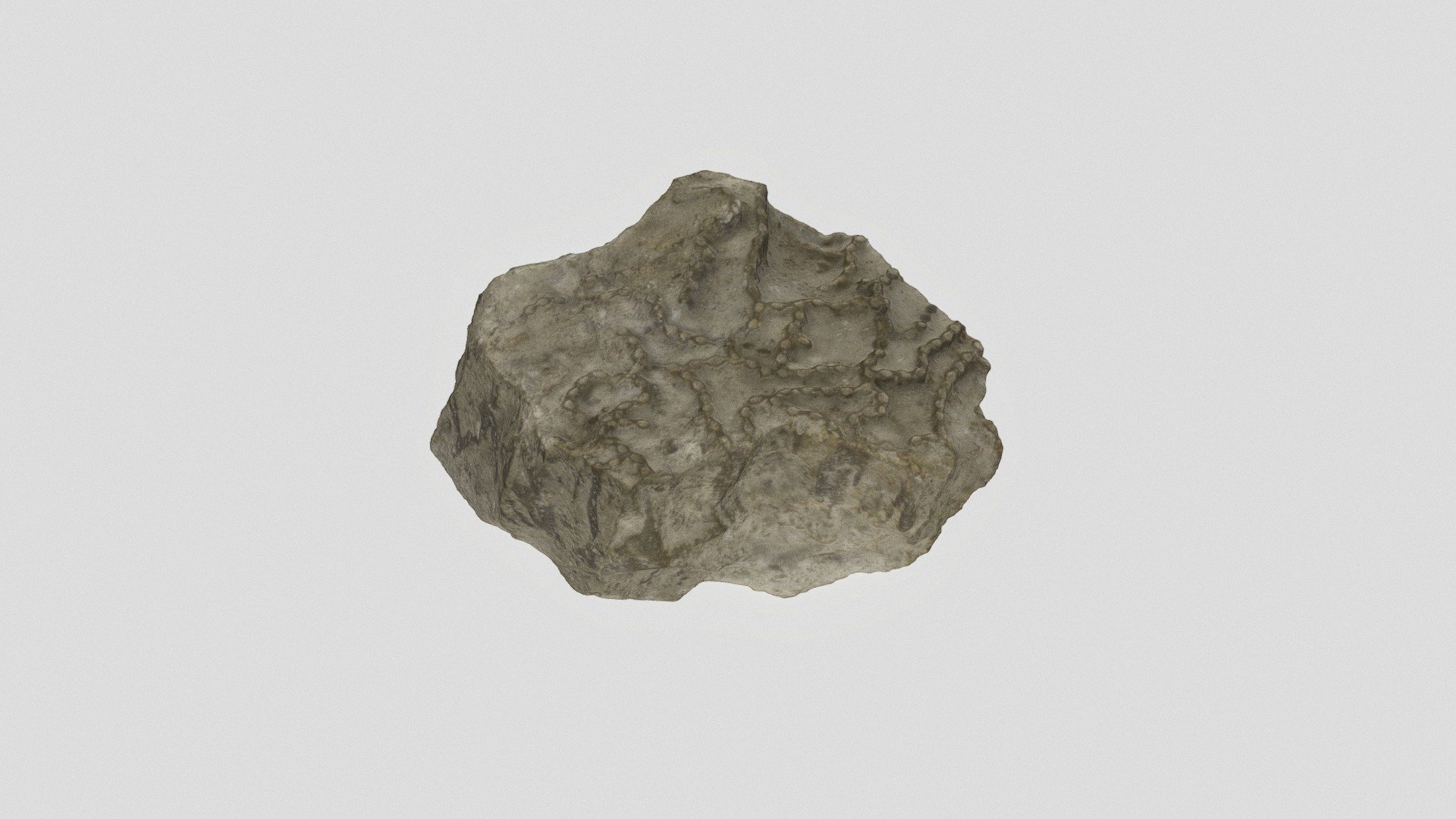 Tabulata - Download Free 3D model by Atlante virtuale 3D Geoscienze ...