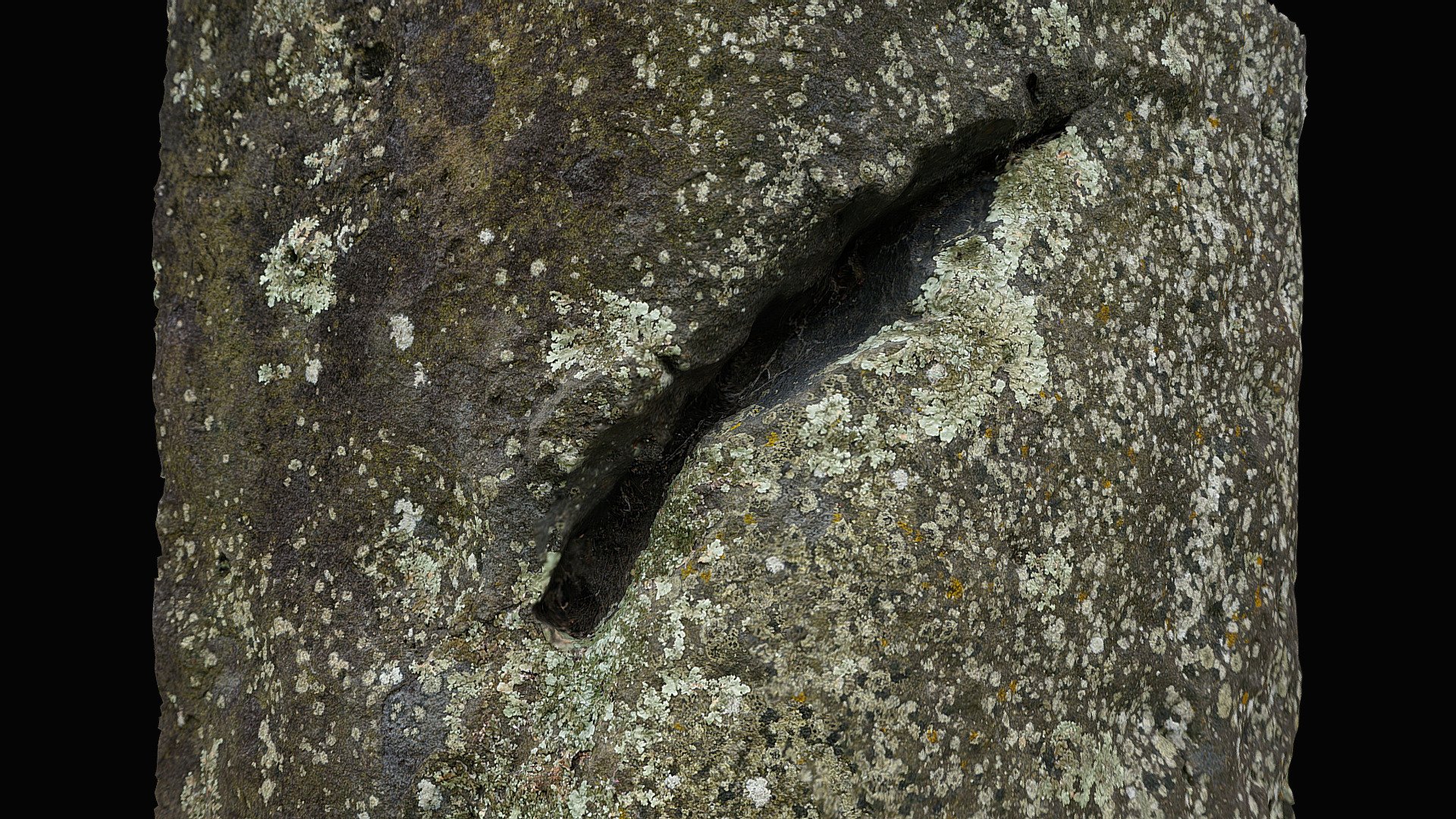 Rongo stone closeup - Download Free 3D model by b_nealie [7e68ecd ...