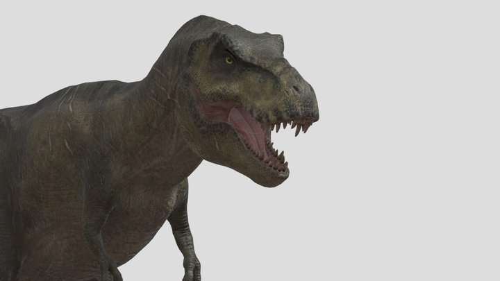 Jwe2 3D models - Sketchfab