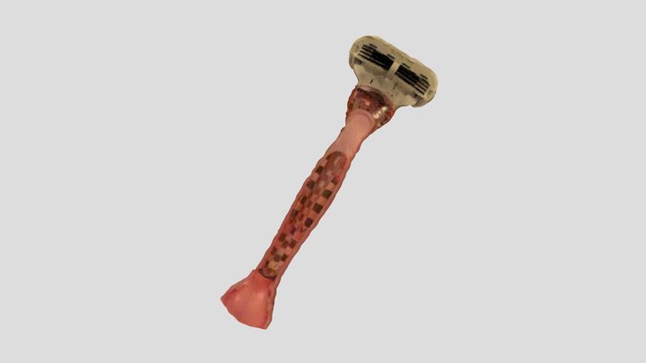 Gillette 3D models - Sketchfab