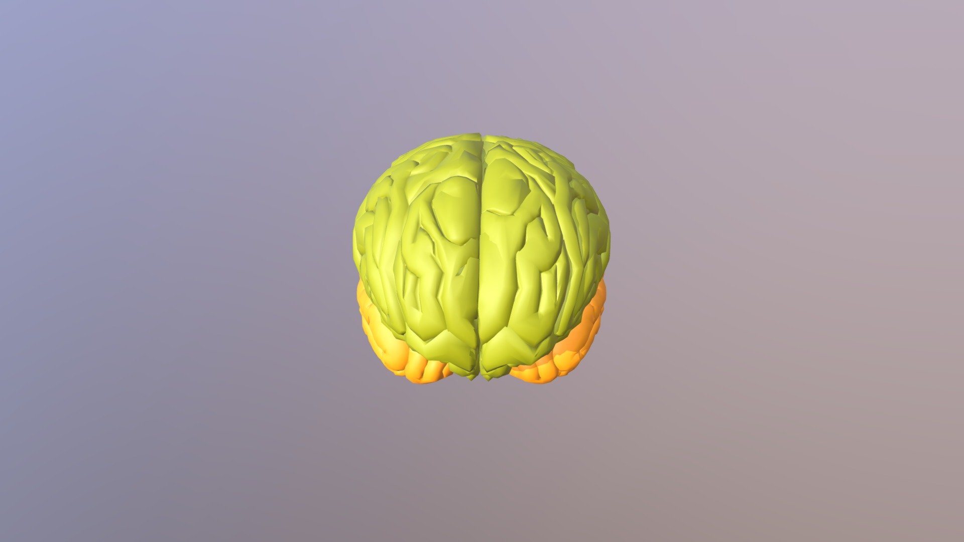 Brain - 3D model by Virtual Reality (@simulanis) [7e7e0da] - Sketchfab