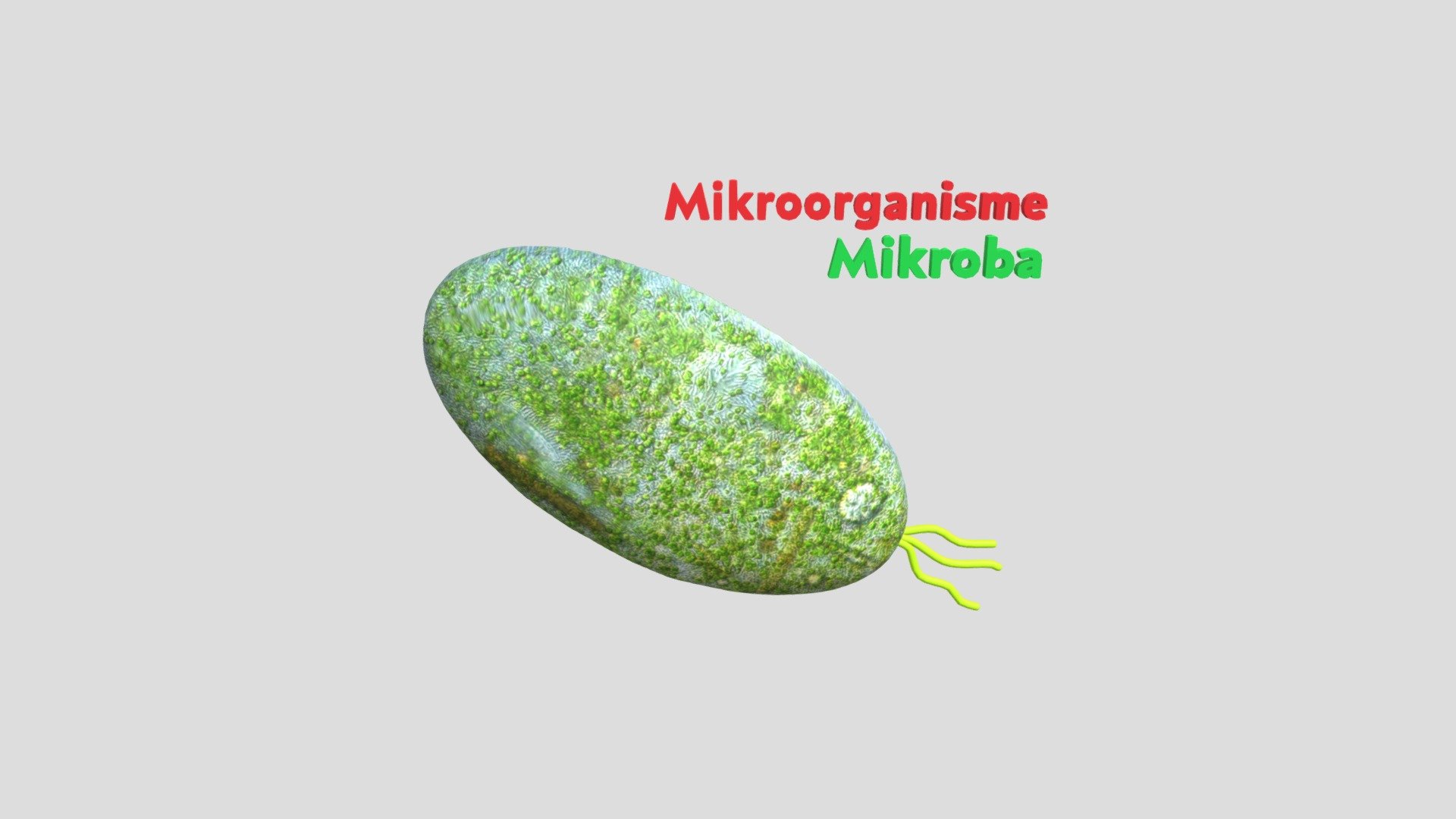 Mikroba - Download Free 3D model by gigonds [7e89541] - Sketchfab