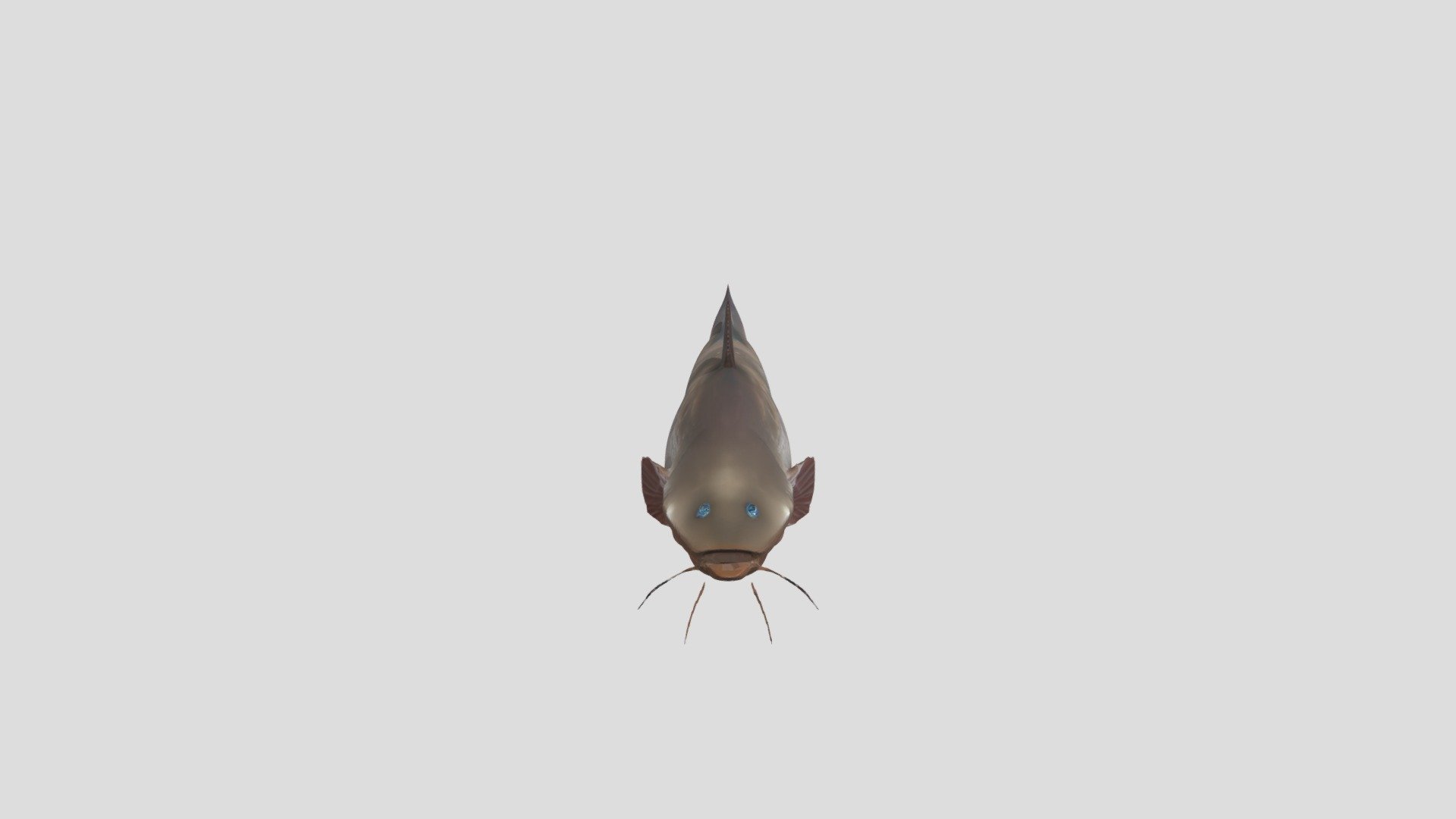 Flathead Catfish - Download Free 3D model by faerbogdan99 [7e931ef ...