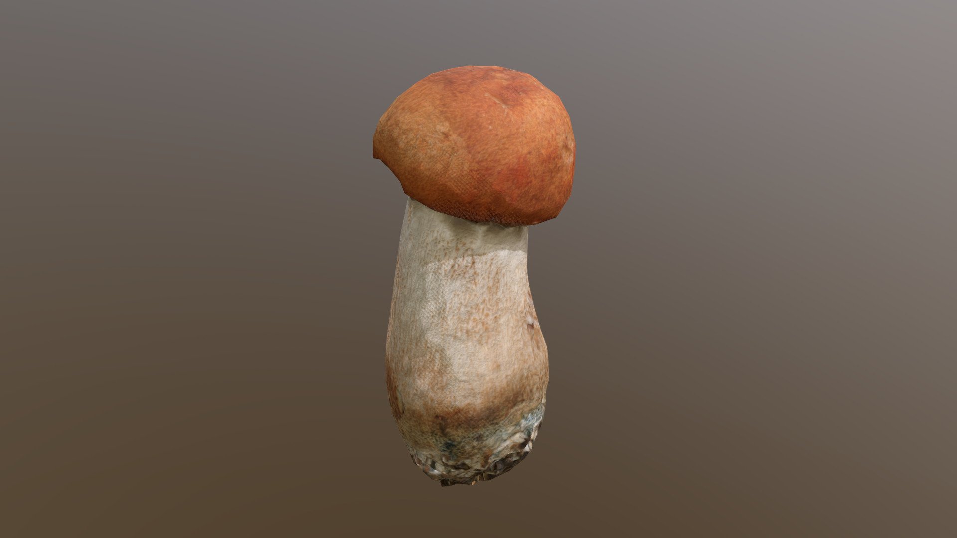 Bolete 2 - Download Free 3D model by theo.friberg [7ea6582] - Sketchfab