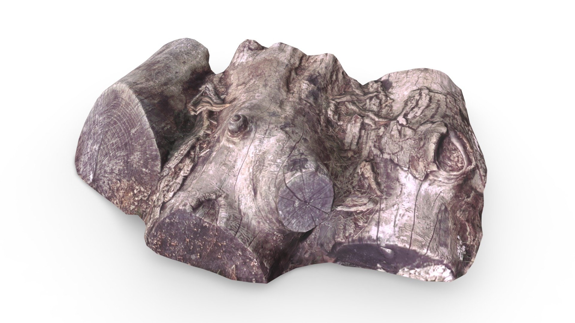 Rotting Logs - Buy Royalty Free 3D model by Meerschaum Digital ...