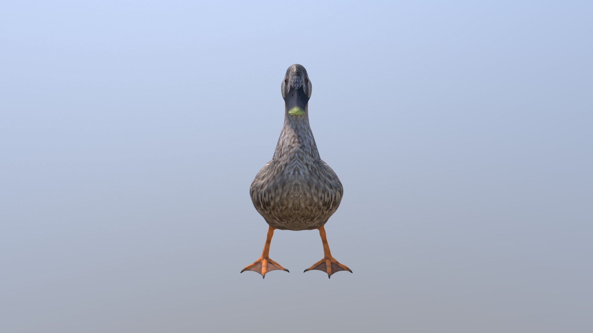 Duck - 3D model by Virtual Reality (@simulanis) [7eae18e] - Sketchfab
