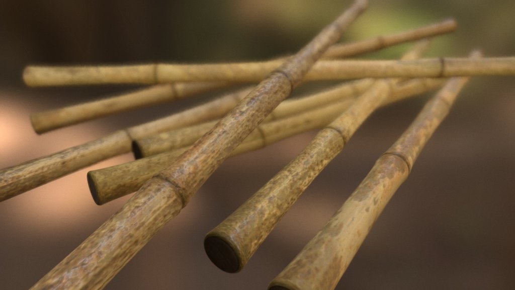 Bamboo 3d Model By Bruno Andrade Brunoandrade [7eb4bc2] Sketchfab