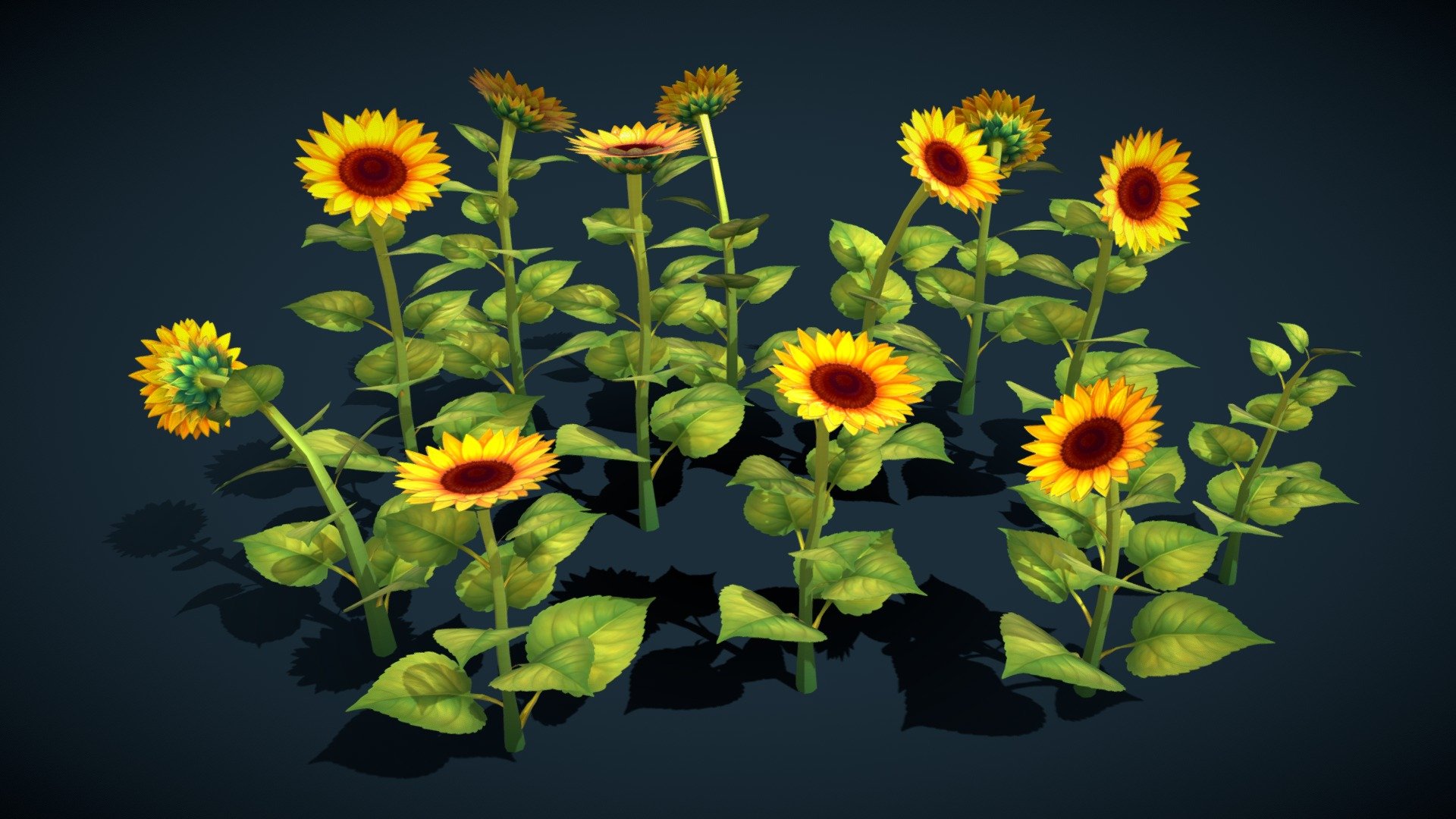 Sylora Bloomscape - Stylized Sunflowers Pack - 3D model by POLYSCAN ...