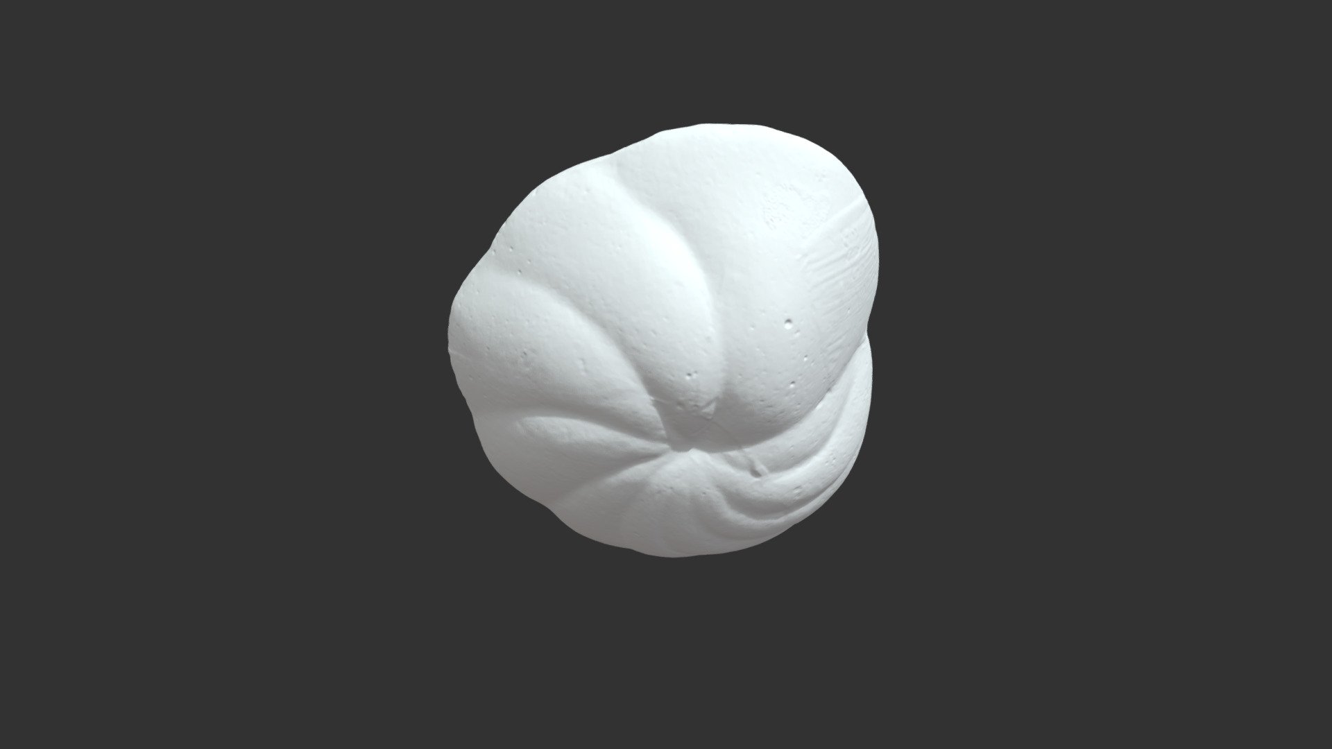 Rotalina punctulata (206542) - 3D model by Photo3D (@vect3d) [7eba879 ...