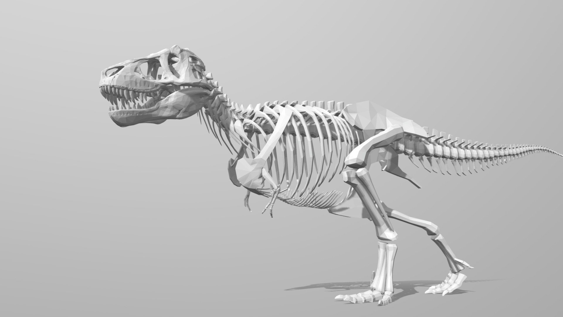 Tyrannosaurus Skeleton - 3D model by Oakyere [7ebd2e9] - Sketchfab