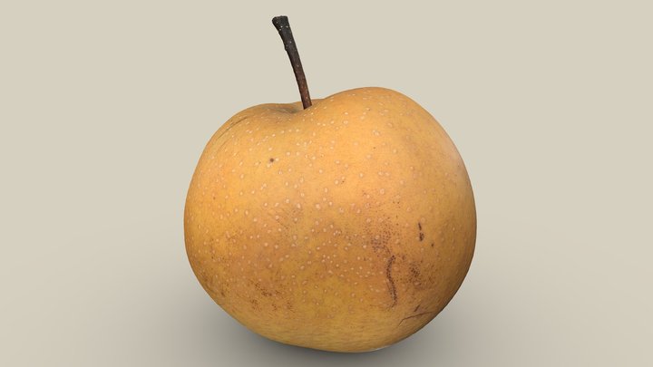Pear 3D models - Sketchfab