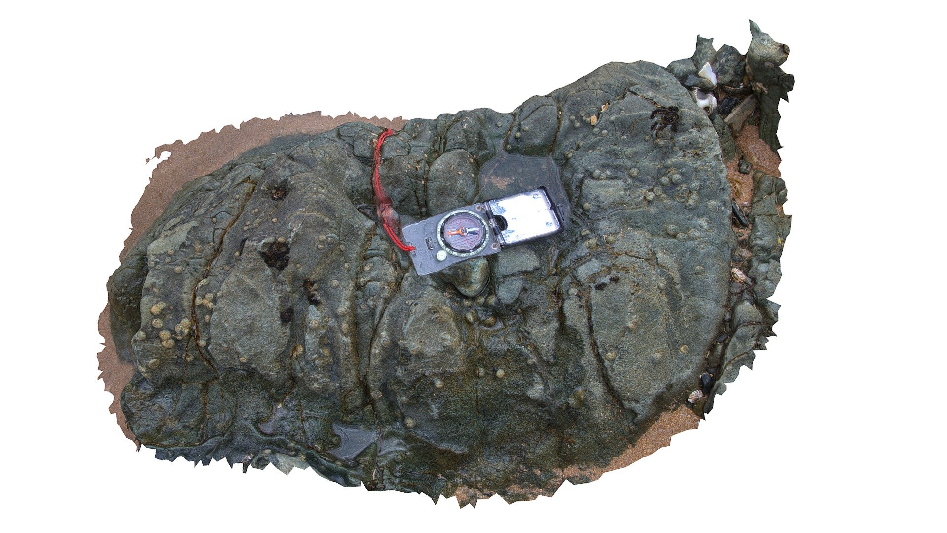 COMB9 - 3D model by AusGeol.org (@AusGeol) [7ec3932] - Sketchfab