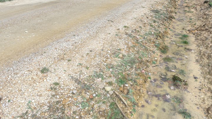 Pathway 3D models - Sketchfab