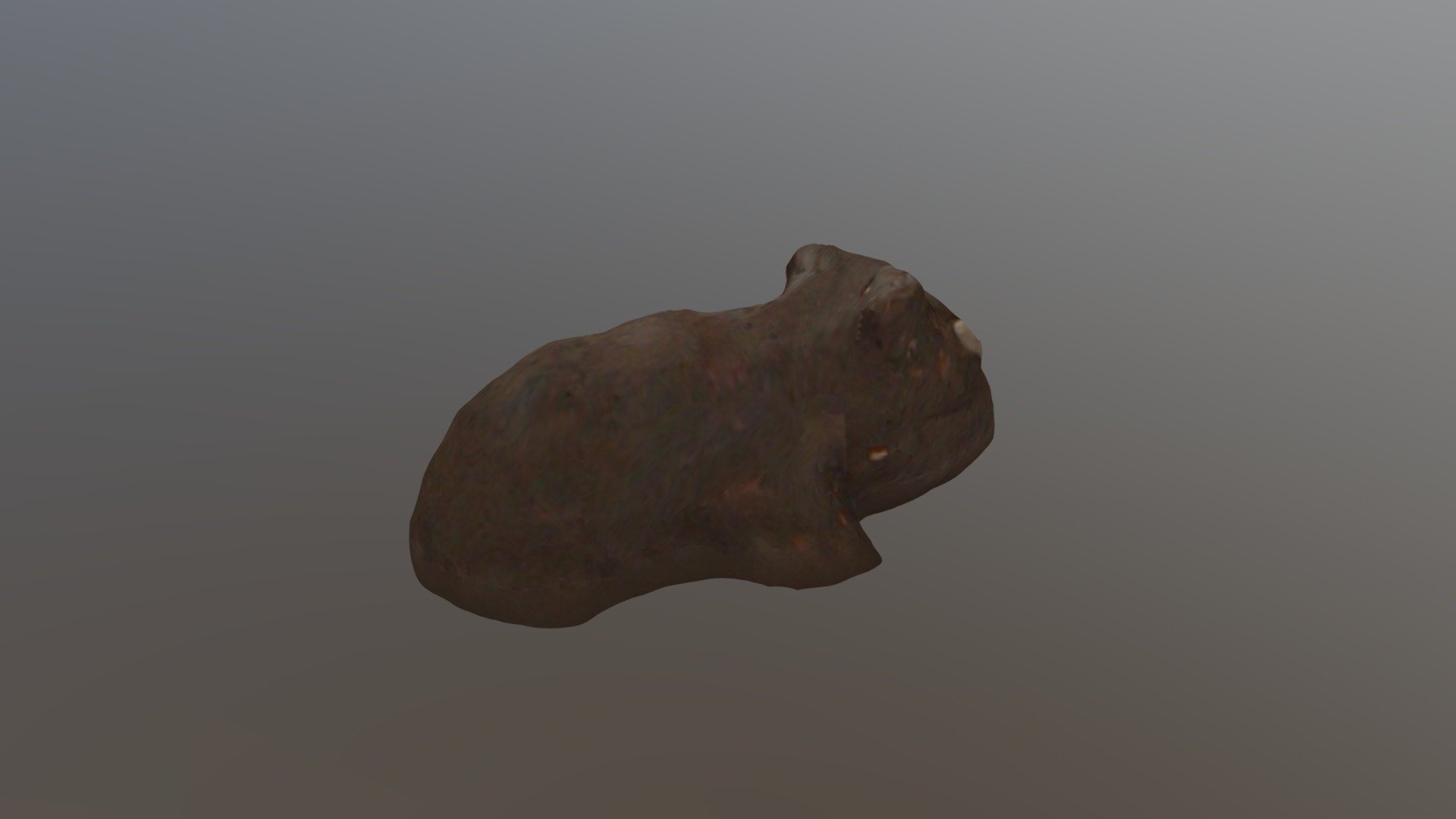 Vombat - Download Free 3D model by Práce pro budoucnost (@Prace_pro ...