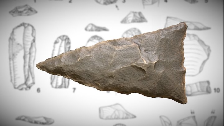 Arrowhead 3D models - Sketchfab