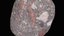 Pebble - Stonehaven ORS - Download Free 3D model by e.RocK [7ece802 ...