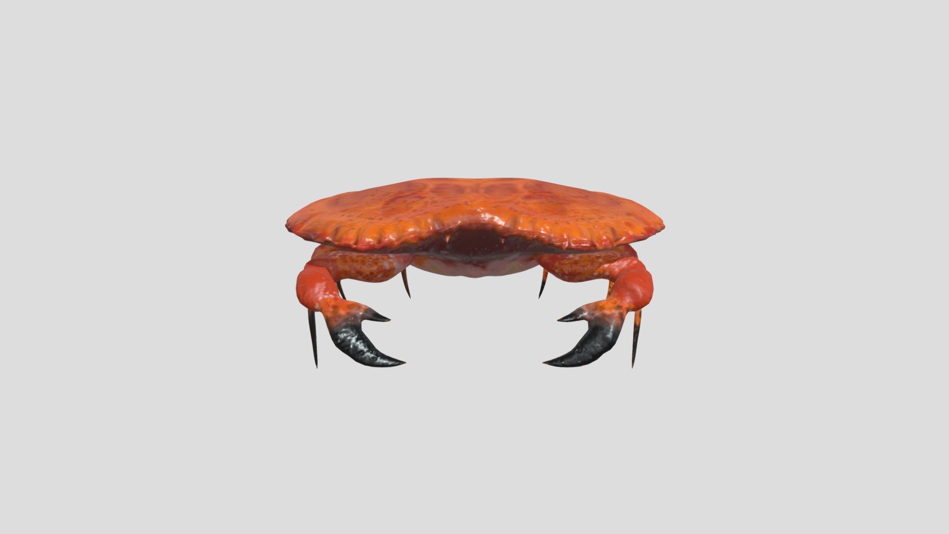 Experimental Crab Texture - 3D model by Gabrielle Carmenita (@te.lore ...