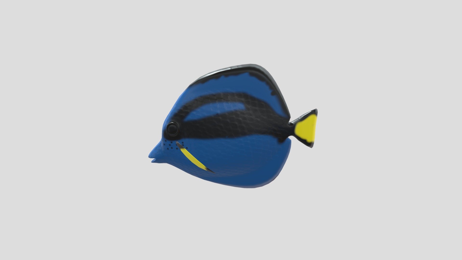 Dory Fish - 3D model by AaronCameron (@AmcamModels) [7ee22e5] - Sketchfab