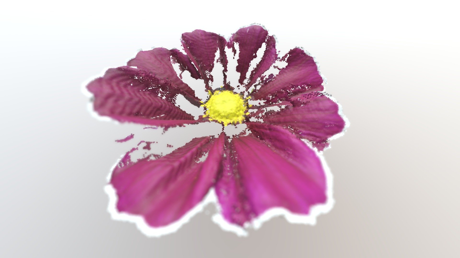Point cloud Flower - 3D model by Ale Segura (@al_sebu) [7ef5335 ...
