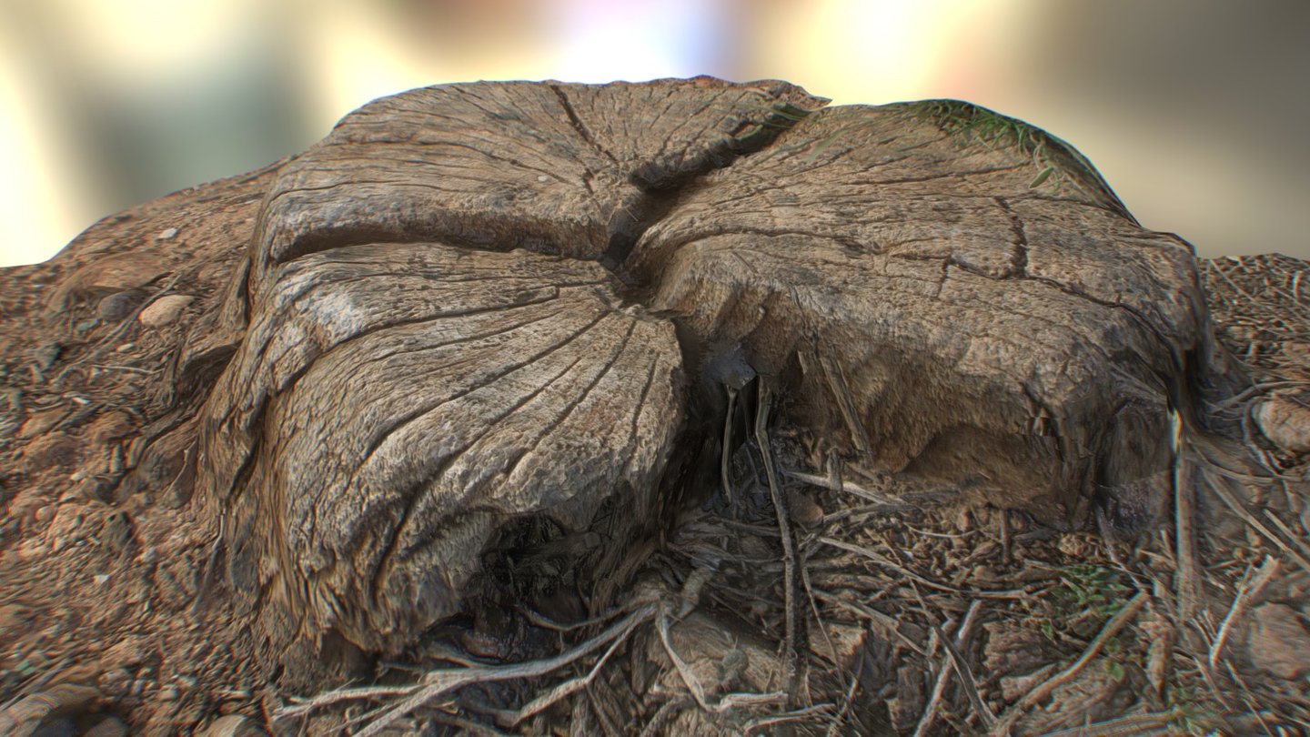 Dead tree log stump - Download Free 3D model by Gaming Assets ...