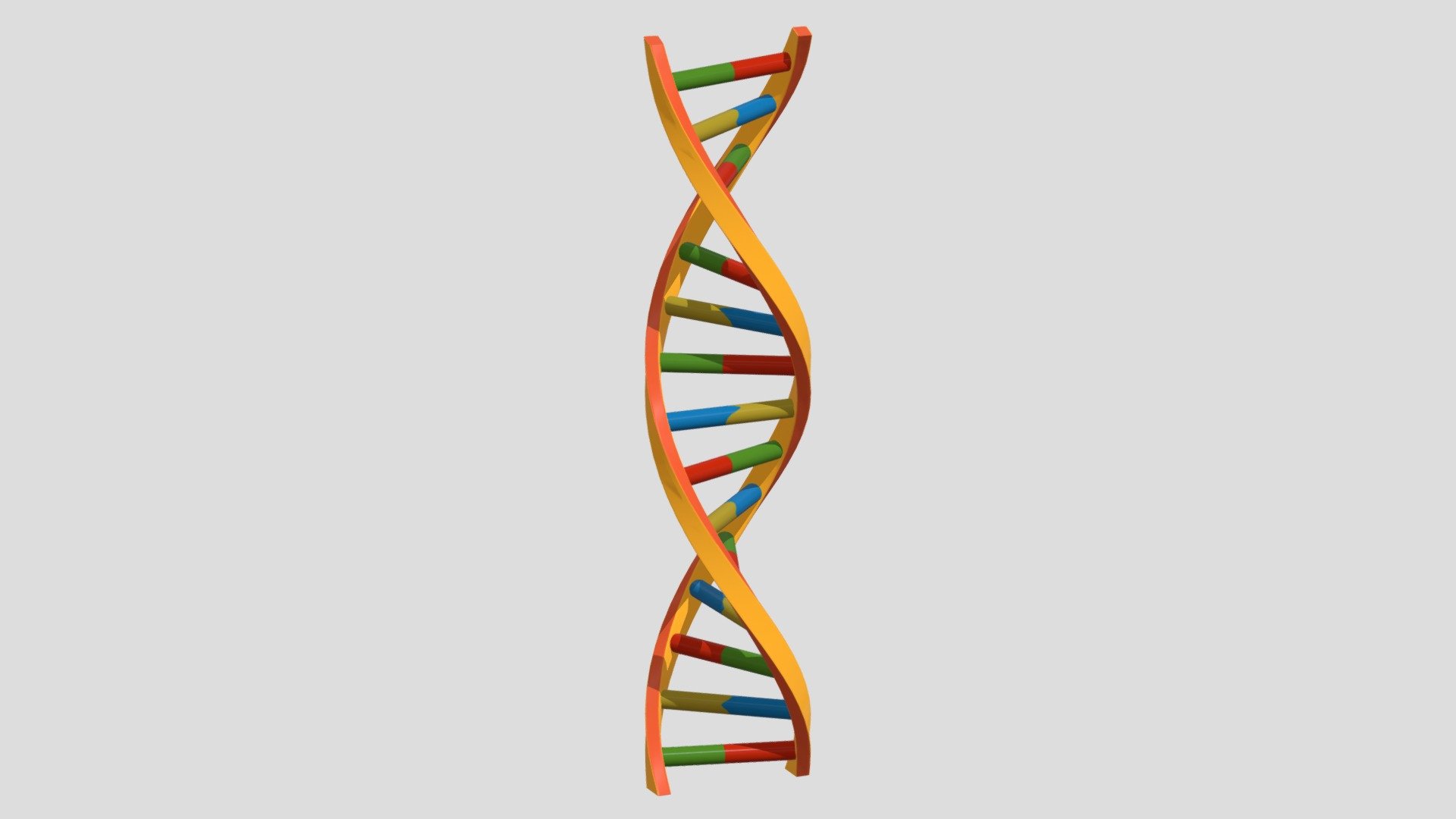 3d_DNA - 3D model by Nearfd [7f01cab] - Sketchfab