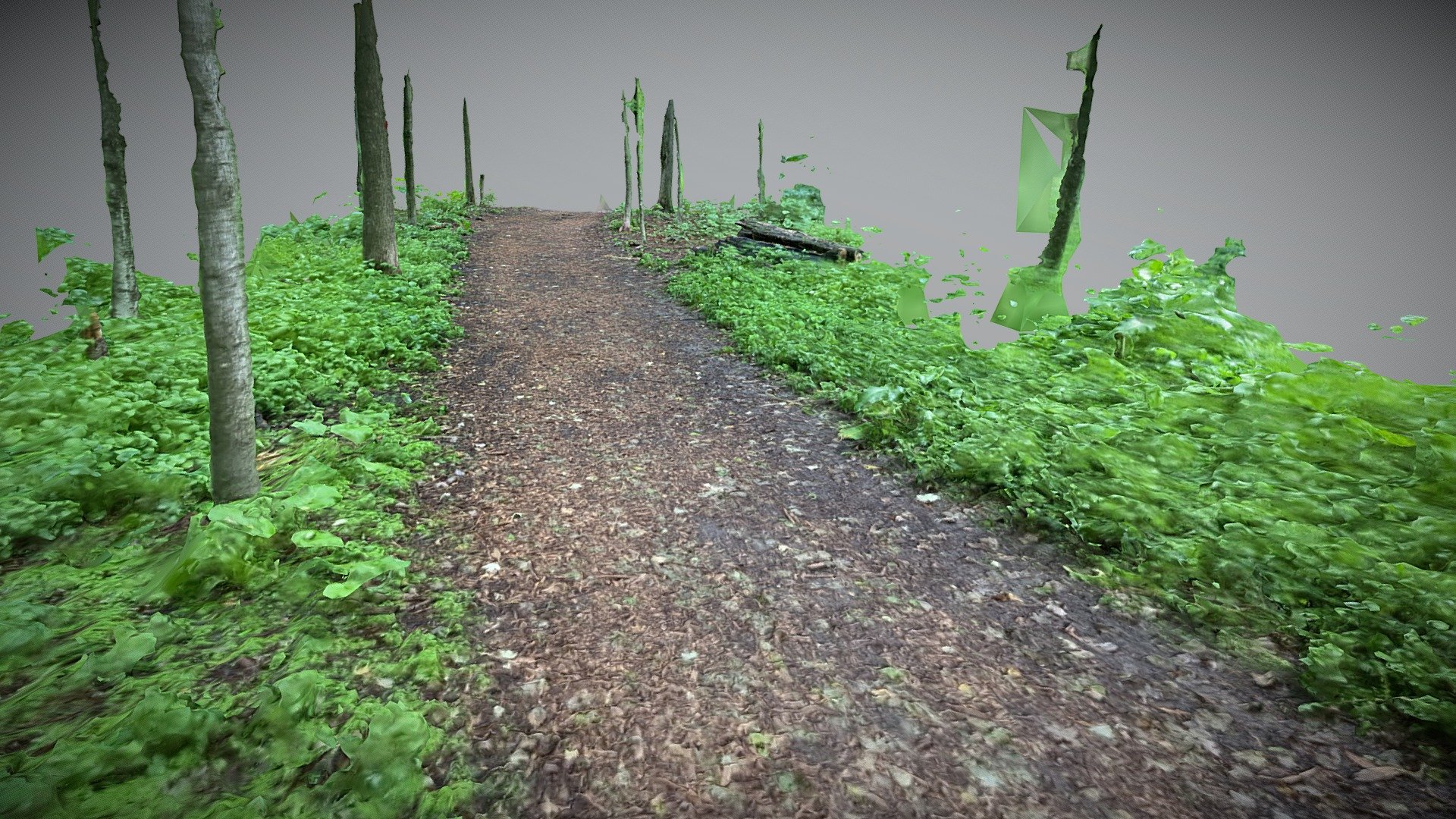 Forest Path - 3D model by ShacharWeis [7f079e0] - Sketchfab