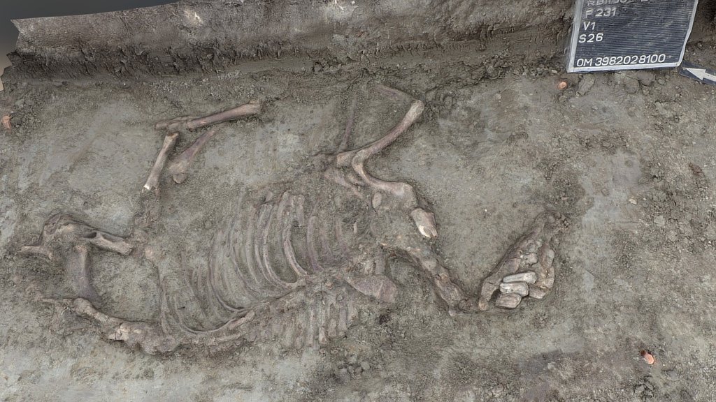 RBI15o animal burial Wp 231 sp 26 - Download Free 3D model by ...