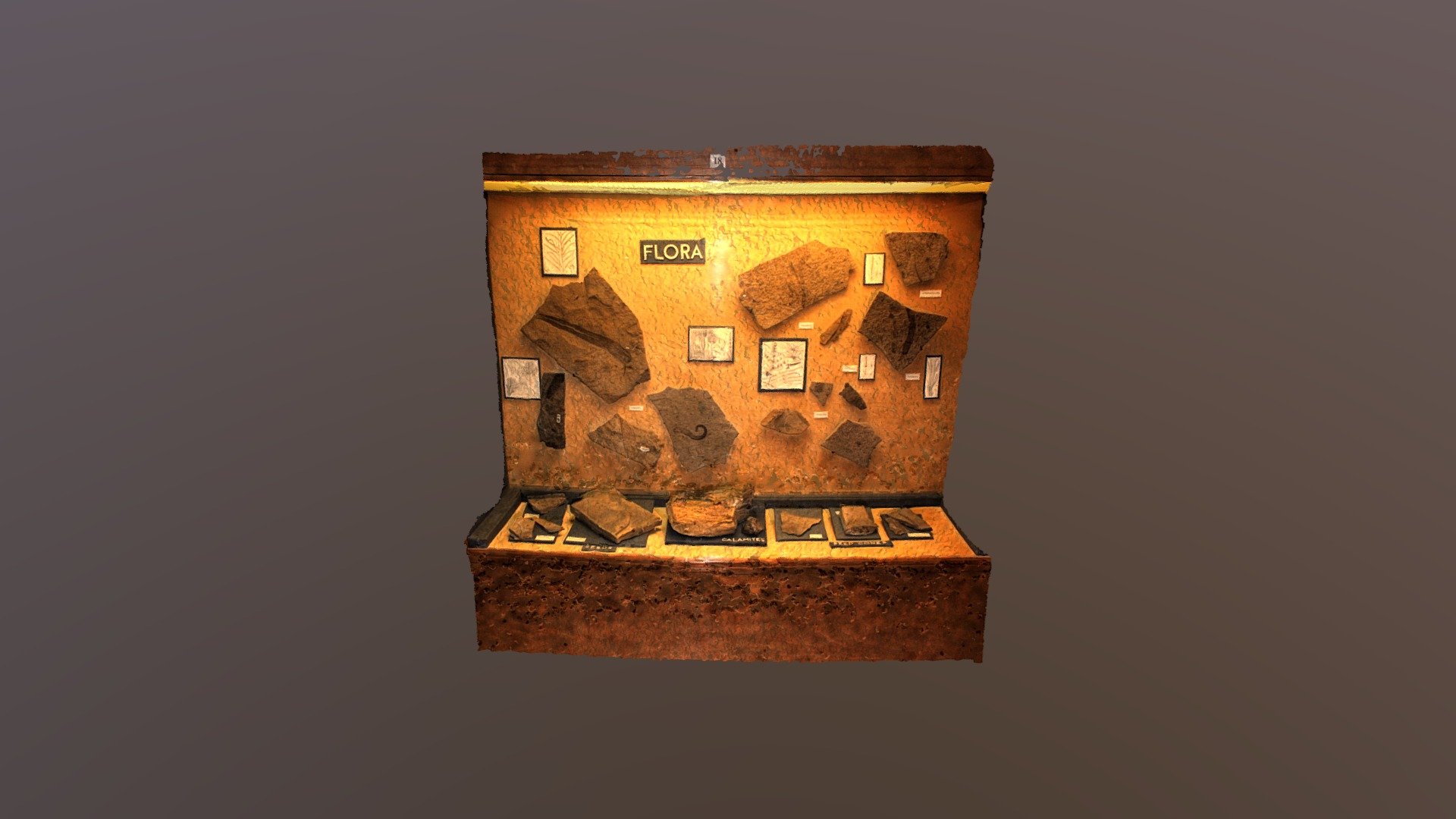 Display Case 18 [Test] Hamilton Quarry - 3D model by ESUEarthSci ...