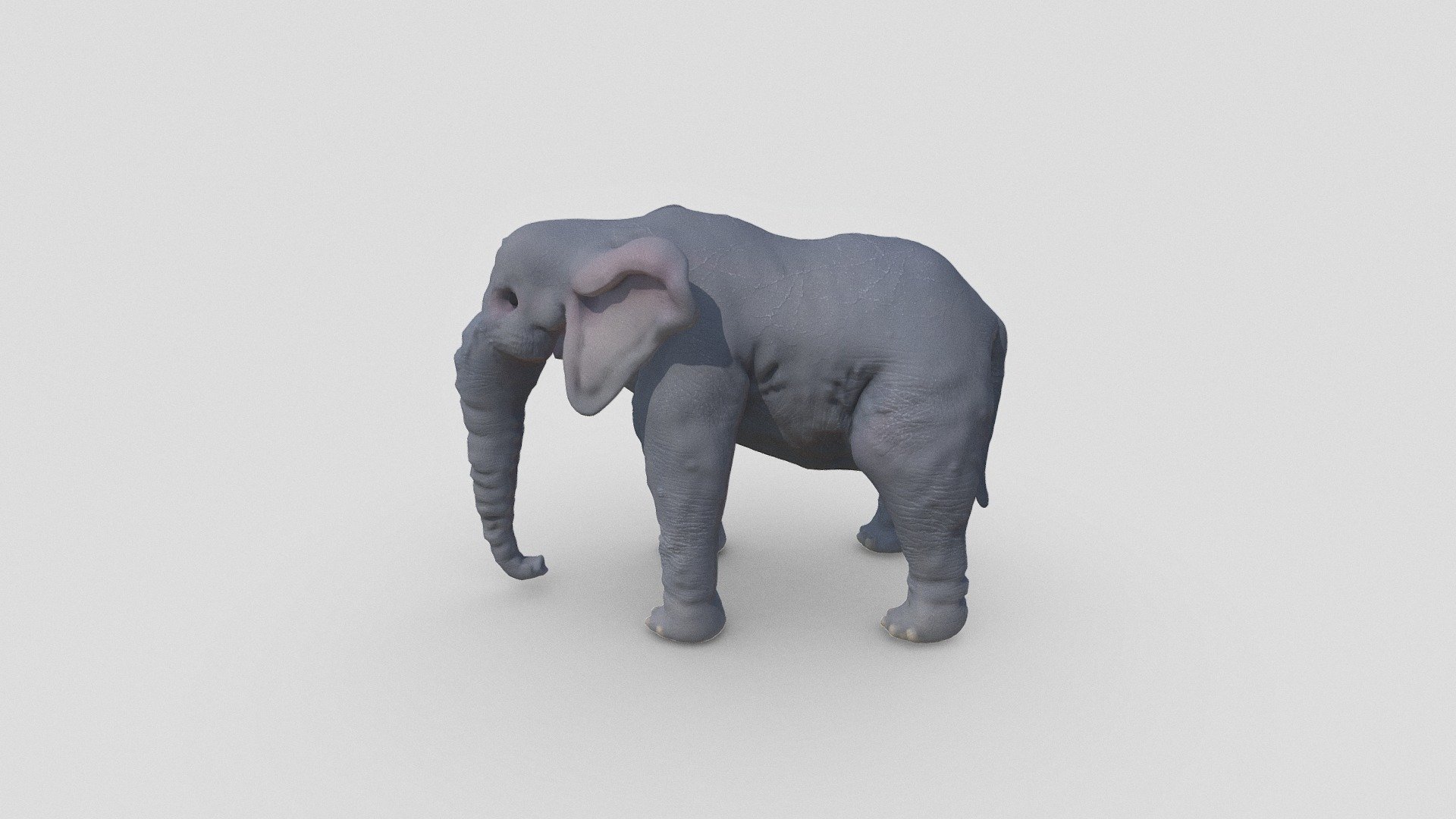 Elephant - Download Free 3D model by Coalexhamm (@chamlow21) [7f2bb7f ...