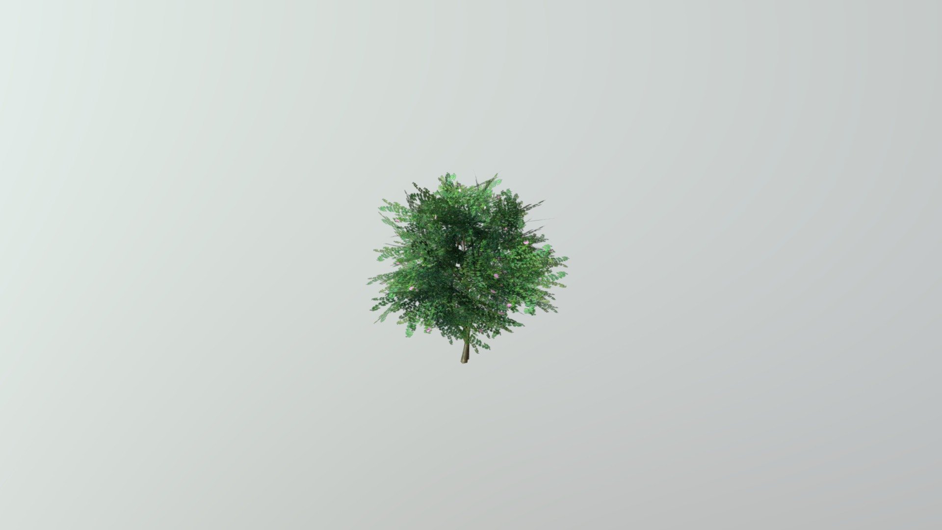 Tree4-fbx - 3D model by robert_gibson [7f34f76] - Sketchfab