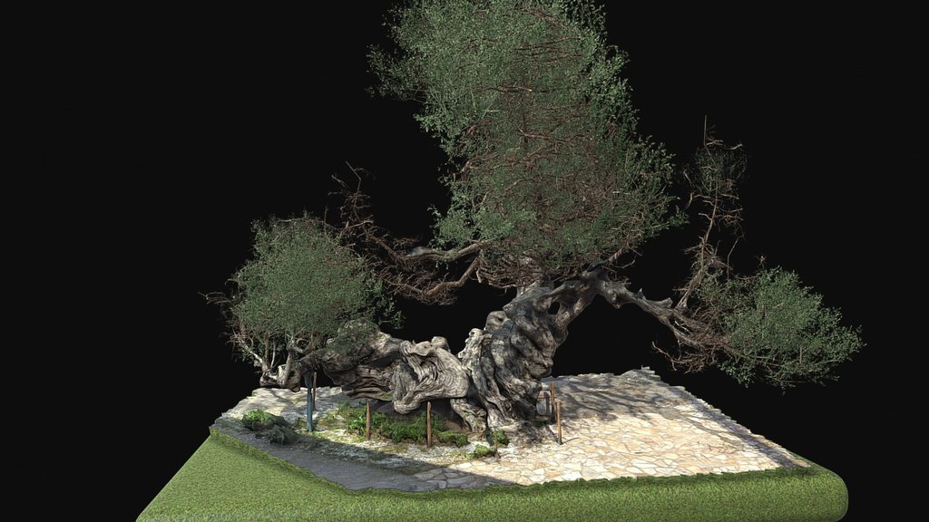 Olive trees - A 3D model collection by Apostolos Vainopoulos ...